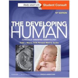 The Developing Human, International Edition, 10th Edition: Clinically ...